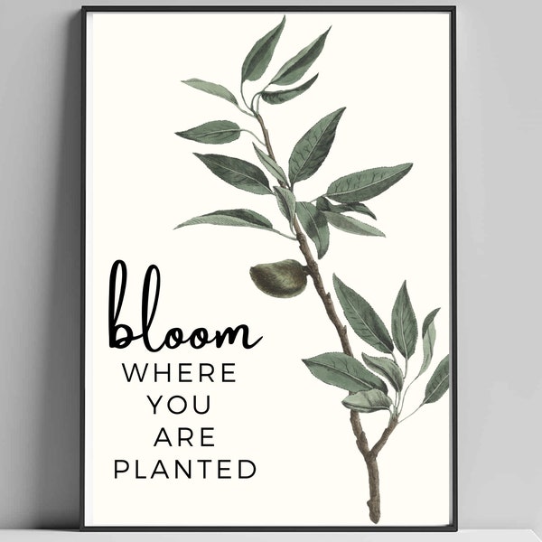 Bloom Where You Are Planted - Etsy