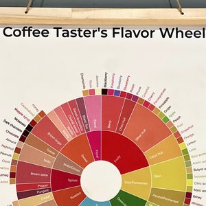 Interactive Coffee Taster's Flavor Wheel - Etsy