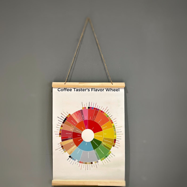 Interactive Coffee Taster's Flavor Wheel - Etsy