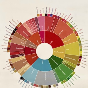 Interactive Coffee Taster's Flavor Wheel - Etsy Canada