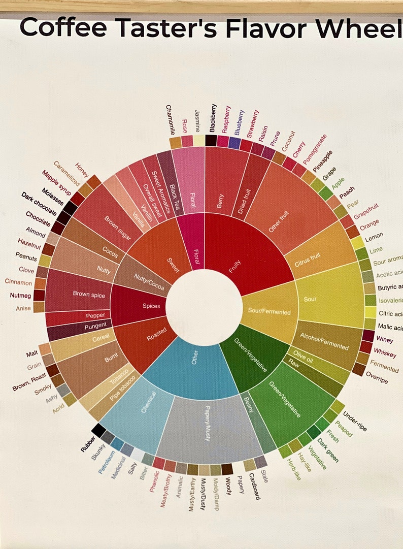 Interactive Coffee Taster's Flavor Wheel - Etsy