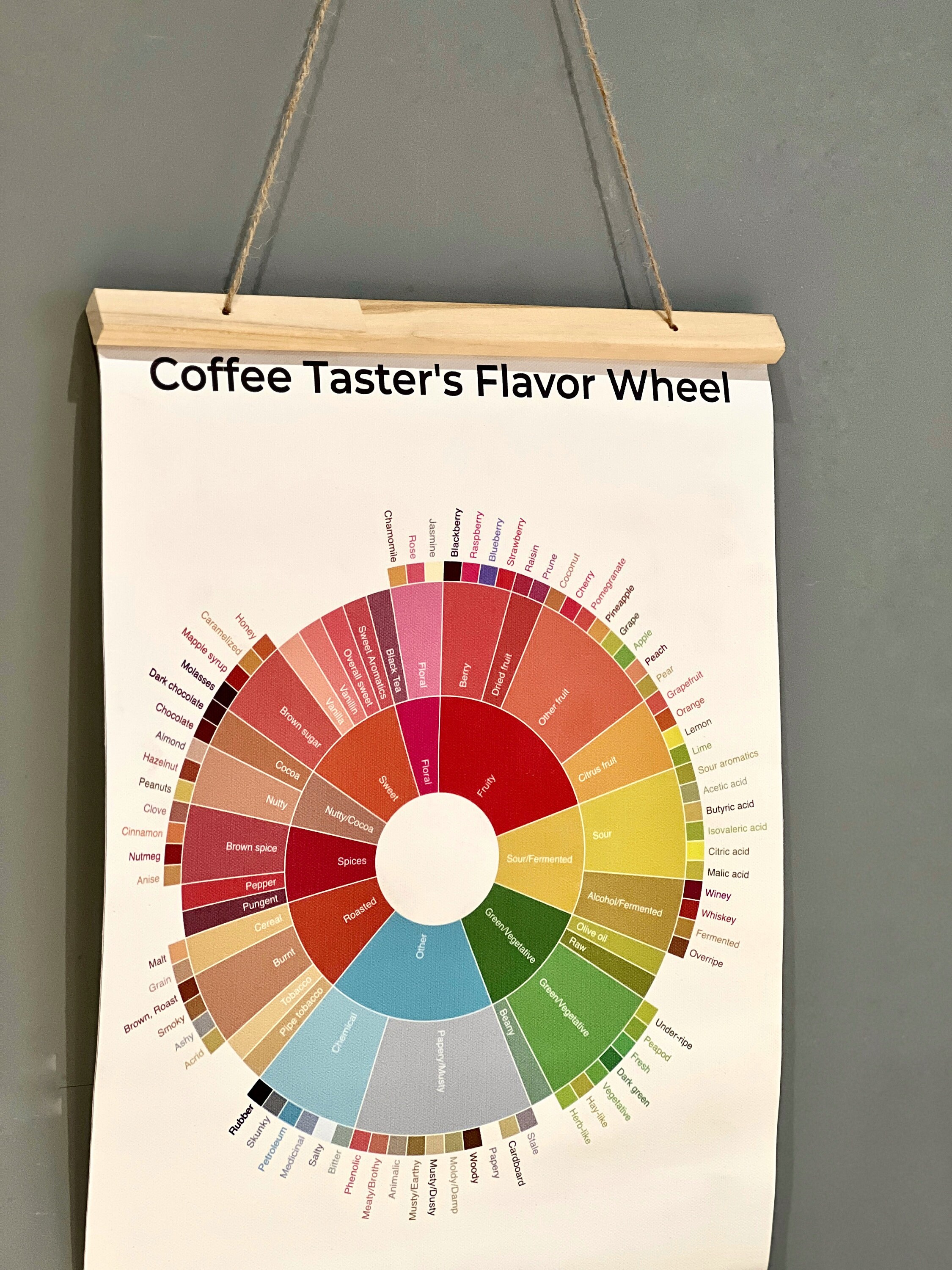 Interactive Coffee Taster's Flavor Wheel - Etsy