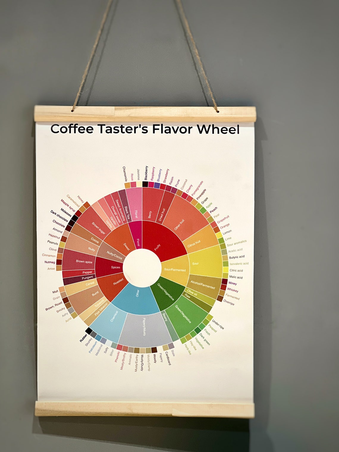 Interactive Coffee Taster's Flavor Wheel - Etsy Canada