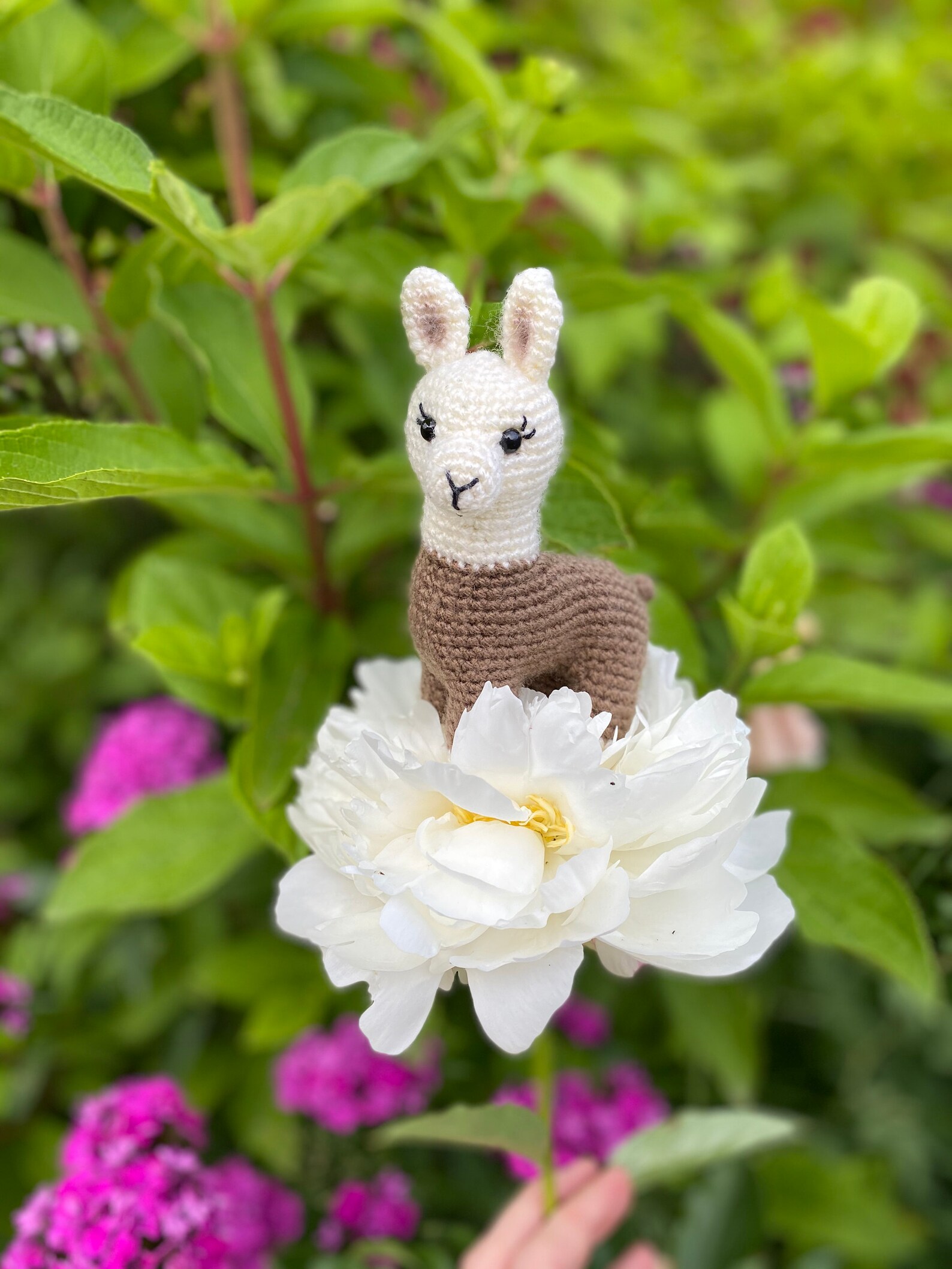 Baby Llama Crochet Pattern Amigurumi. Crochet Little Llama Amigurumi ...