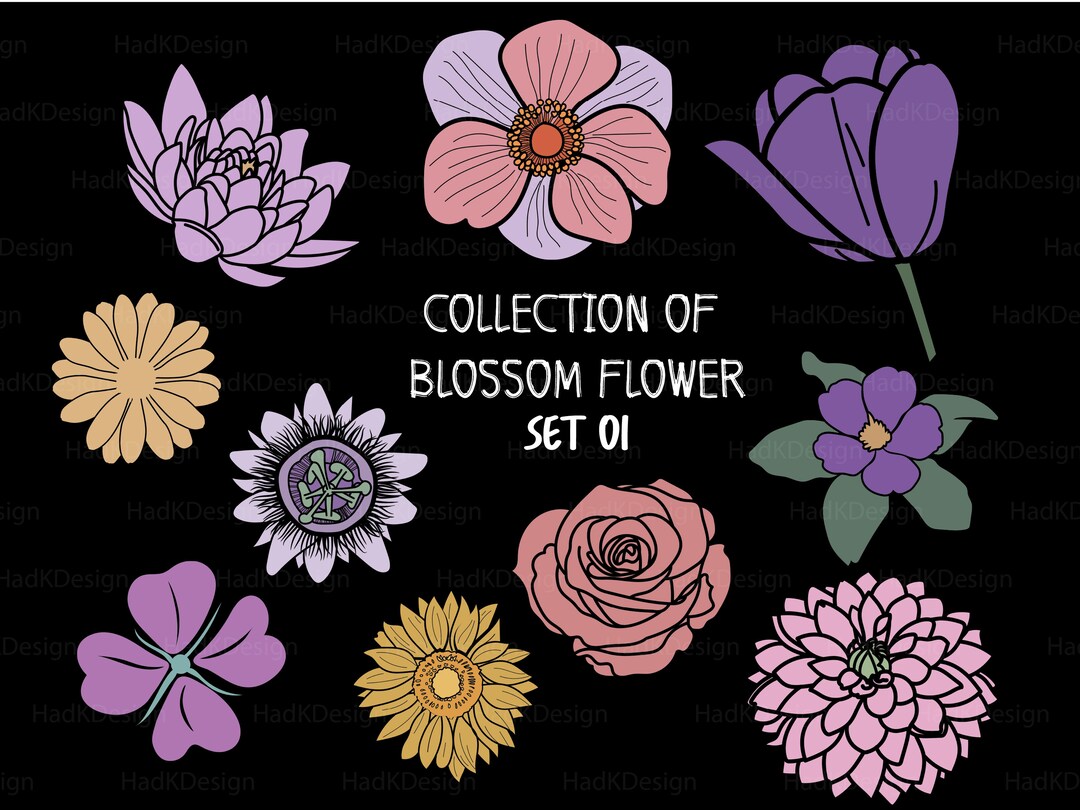 Beautiful Blossoms: A Stunning Flower SVG Bundle for Your Creative ...