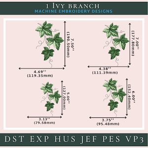 Ivy Leaves Embroidery Design, Plant Branch (digital Download) - Etsy