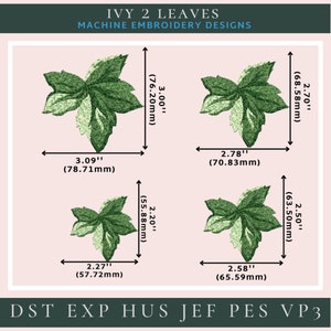 Ivy Leaves Embroidery Design, Plant Branch (digital Download) - Etsy