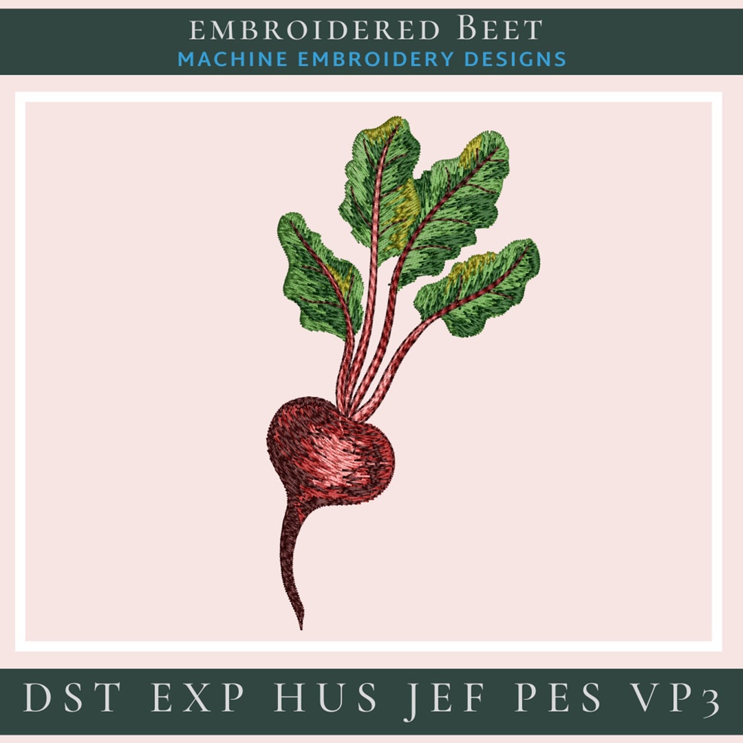 Beet Embroidery Design. Table Beet Embroidery. Vegetable Embroidery ...