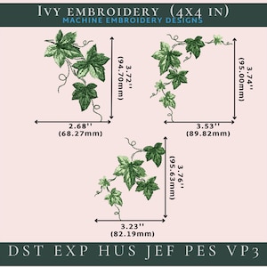 Ivy Leaves Embroidery Design, Plant Branch (digital Download) - Etsy