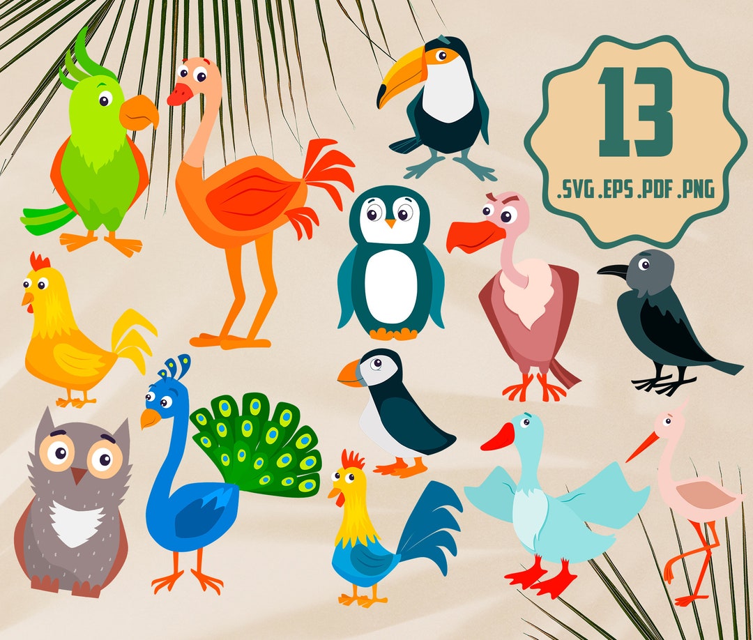 Cartoon Bird SVG Illustration Bundle Cute Funny Birds Vector - Etsy