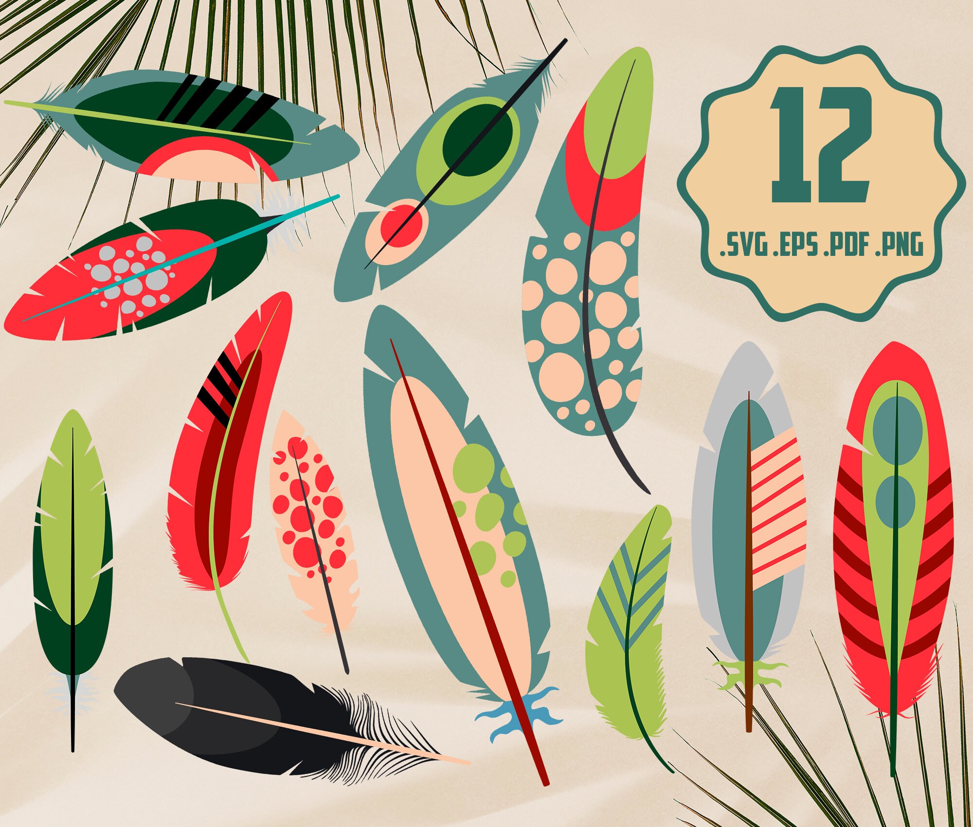 Farbe Federn SVG Illustration Bundle Cartoon Vogel Federn - Etsy.de