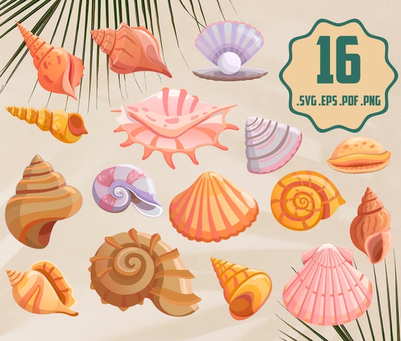 Open Seashell Cartoon