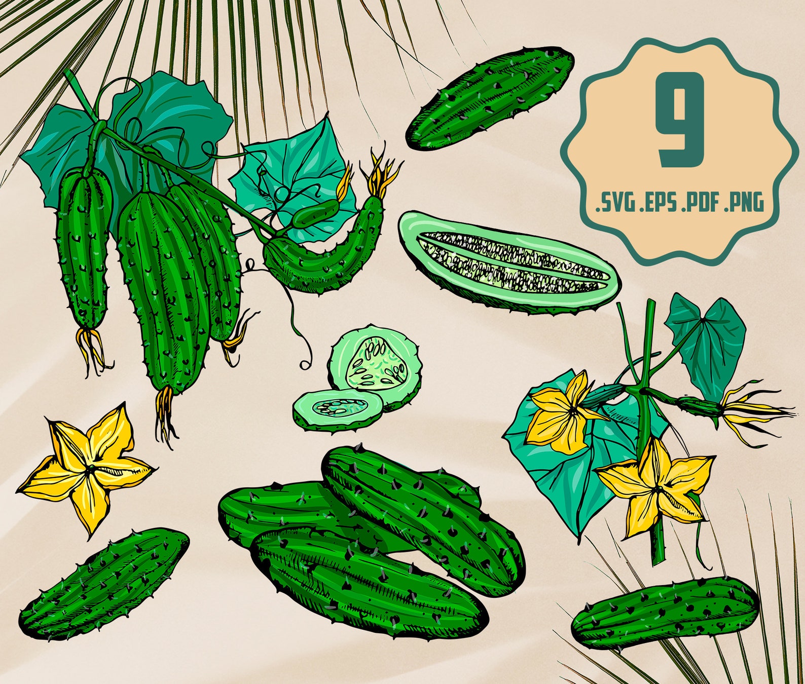 Cucumber Color SVG Illustration Bundle Vegetables Cucumber - Etsy UK