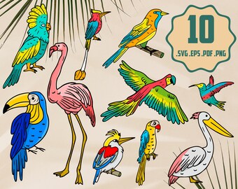 Color Bird SVG Illustration Bundle Bird Toy Vector Art Set - Etsy