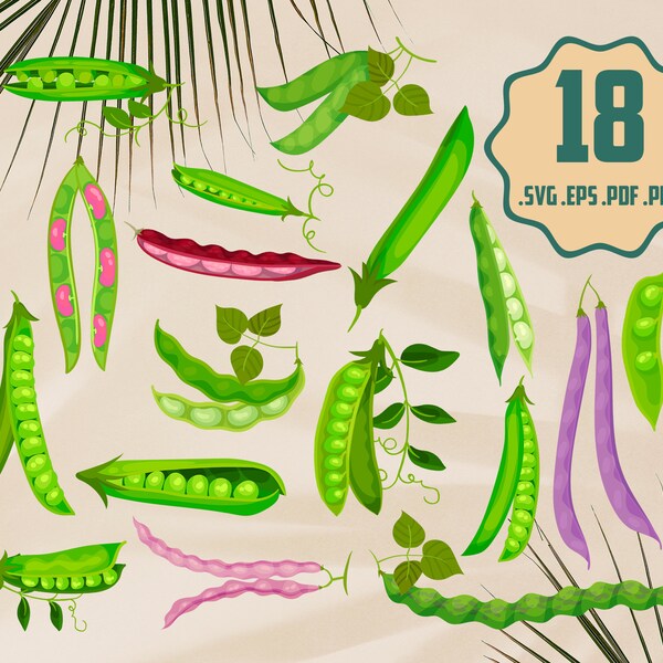 Green Bean Svg - Etsy