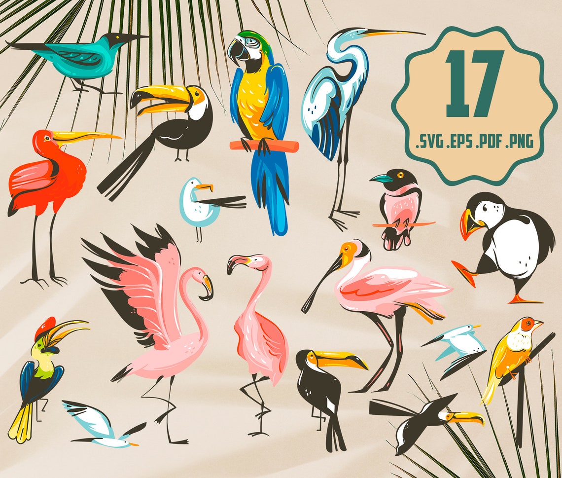 Wild Birds EPS Set, Zoo Bird Animals SVG Files Collection, Wild Bird ...