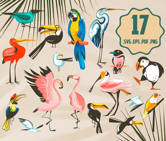 Wild Birds EPS Set Zoo Bird Animals SVG Files Collection | Etsy