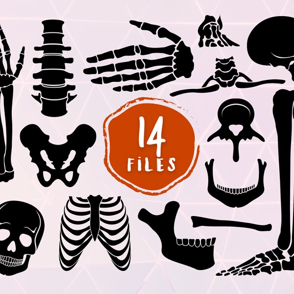 Skeleton Bone Bones - Etsy