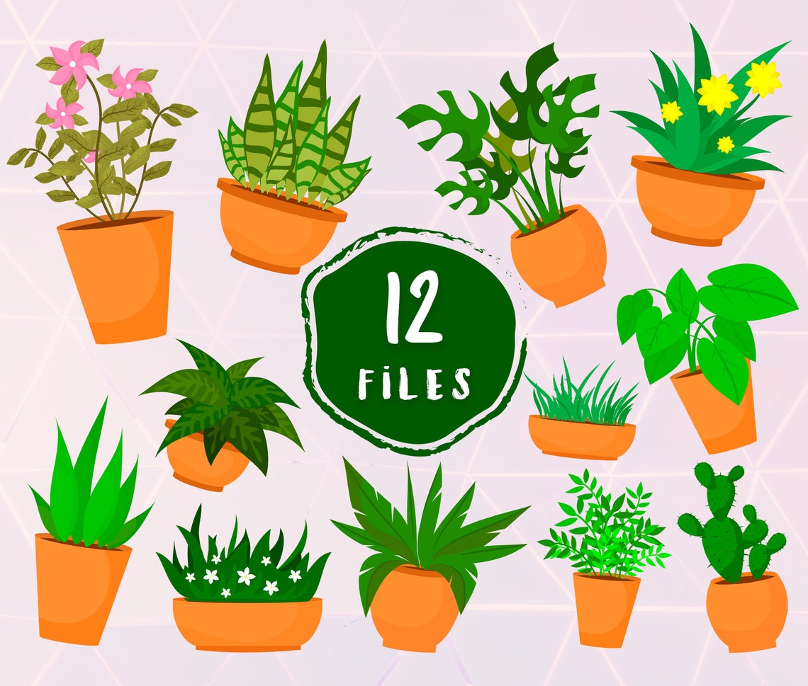 House Plants SVG Illustration Bundle, Pot Flowers EPS Set, Home Pot ...