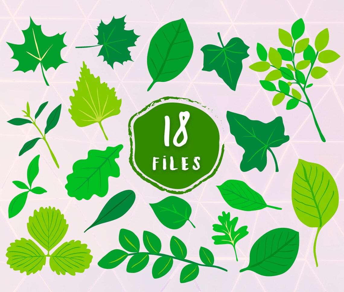Green Leaves Plant SVG Illustration Bundle Nice Leaves EPS - Etsy
