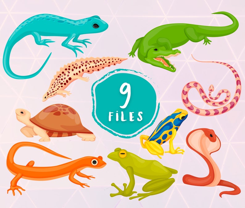 Amphibians SVG Illustration Bundle, Animal Amphibians EPS Set, Lizard ...