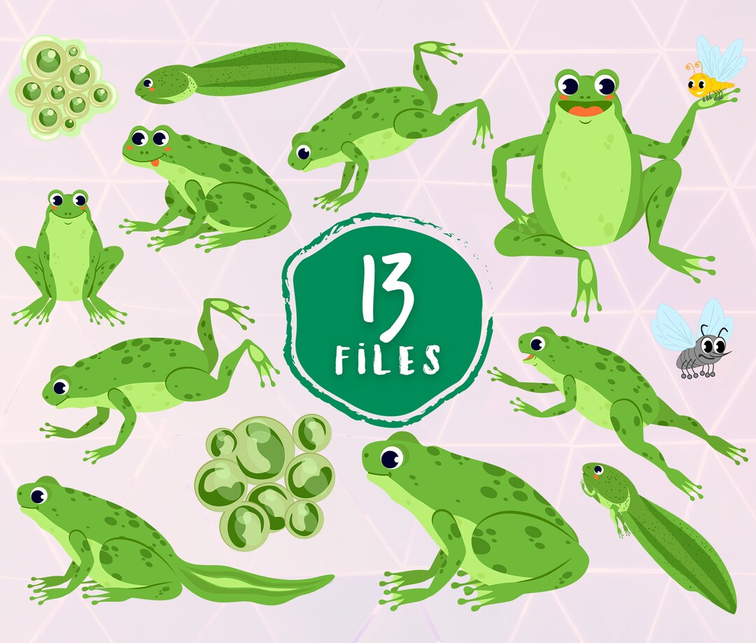 Cartoon Cute Frog SVG Illustration Bundle, Amphibians Frog EPS Set ...