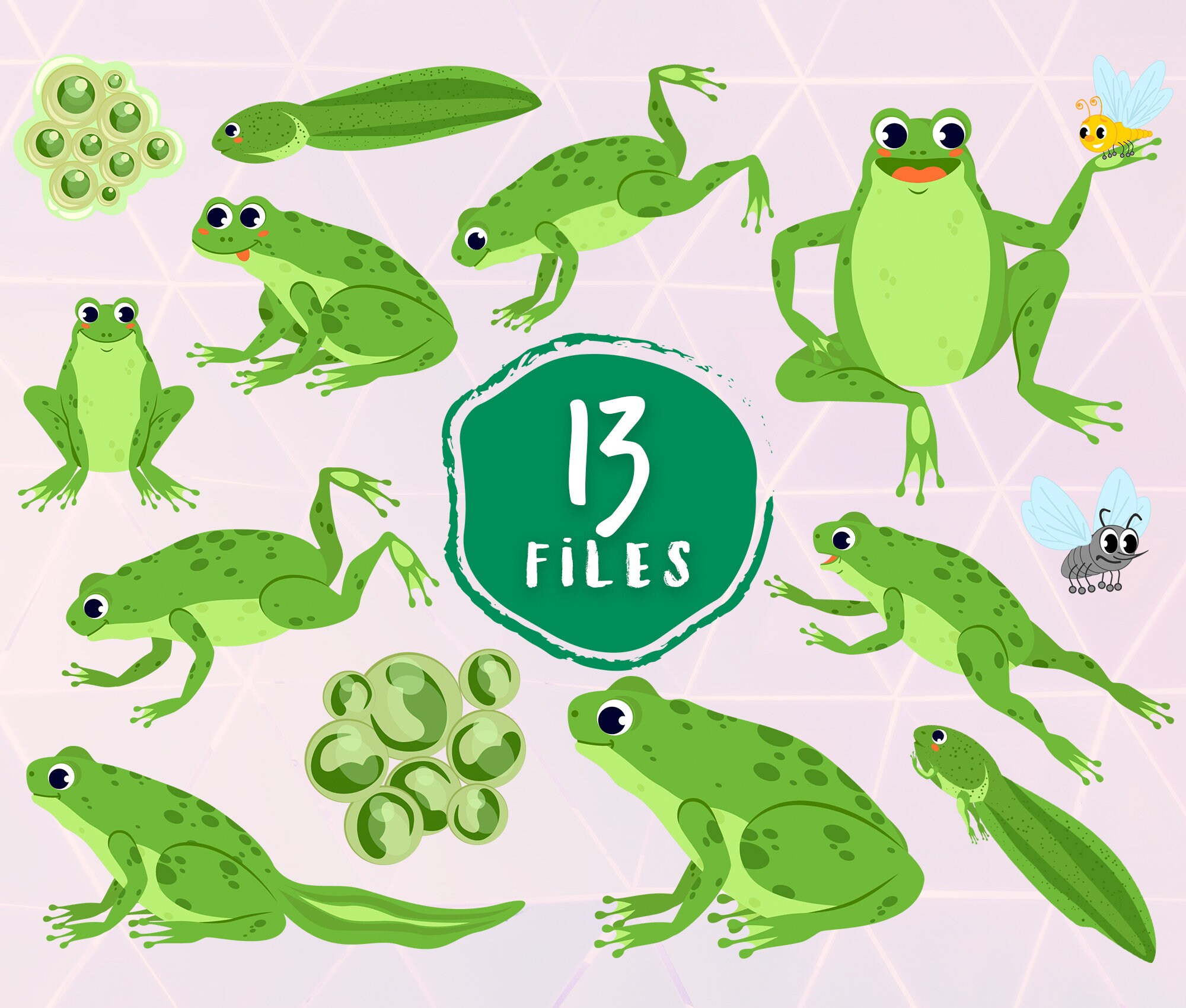 Cartoon Cute Frog SVG Illustration Bundle, Amphibians Frog EPS Set ...