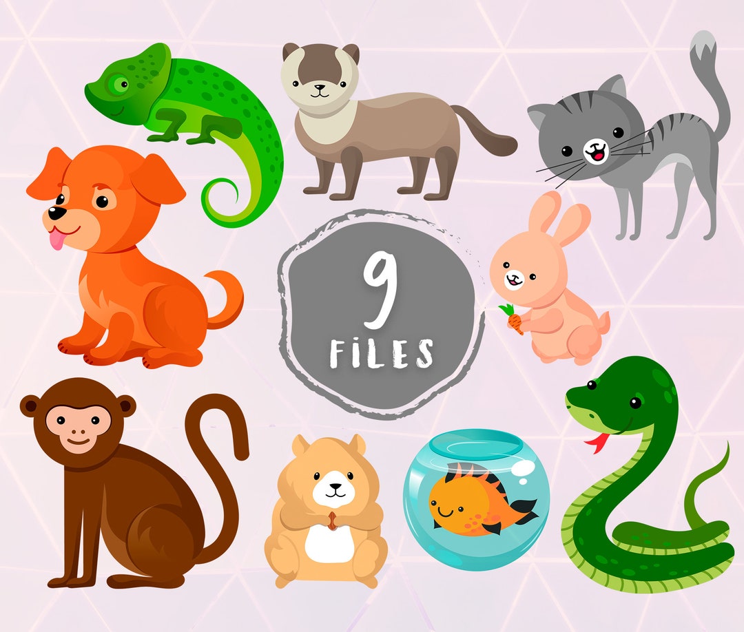 Exotic Home Pets SVG Illustration Bundle, Cute Animals EPS Set ...
