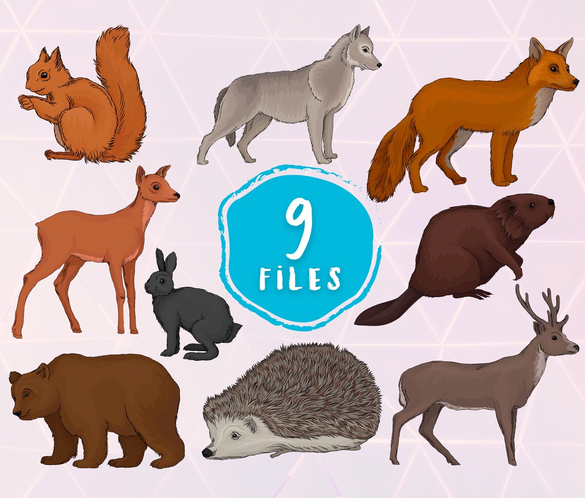 Cute Forest Animal SVG Illustration Bundle, Woods Animal Vector Art Set ...