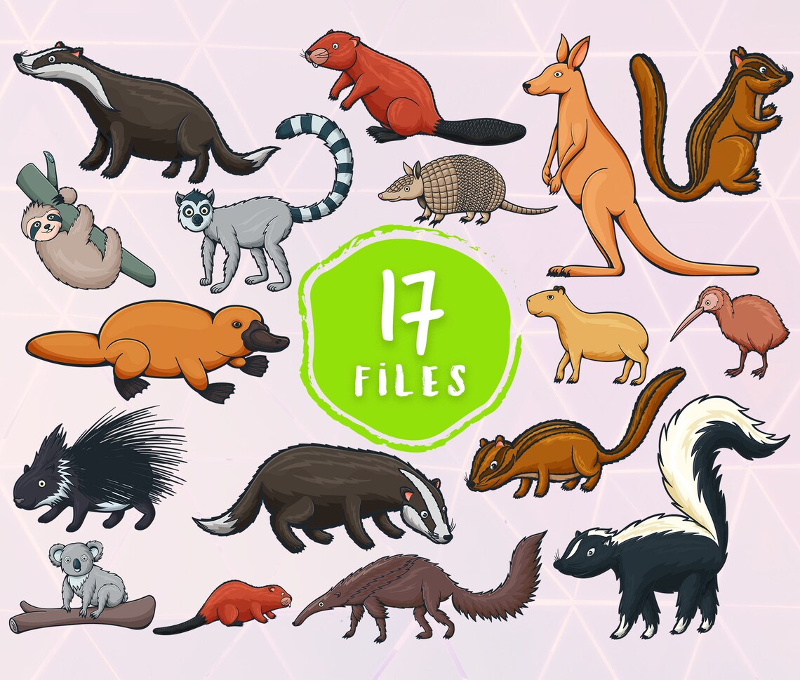 Wild Animals SVG Illustration Bundle, Wood Tropical Creatures Vector ...