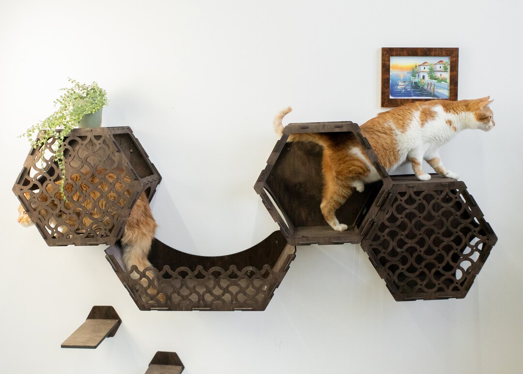 Hexagon Cat Shelves, Hexagon Cat Shelf, Honeycomb Cat Shelf, Cat ...