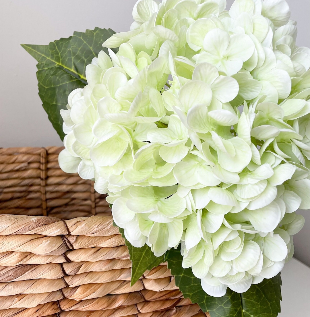 Faux Hydrangea, Artificial Hydrangea, Real Touch Green Faux Flower ...