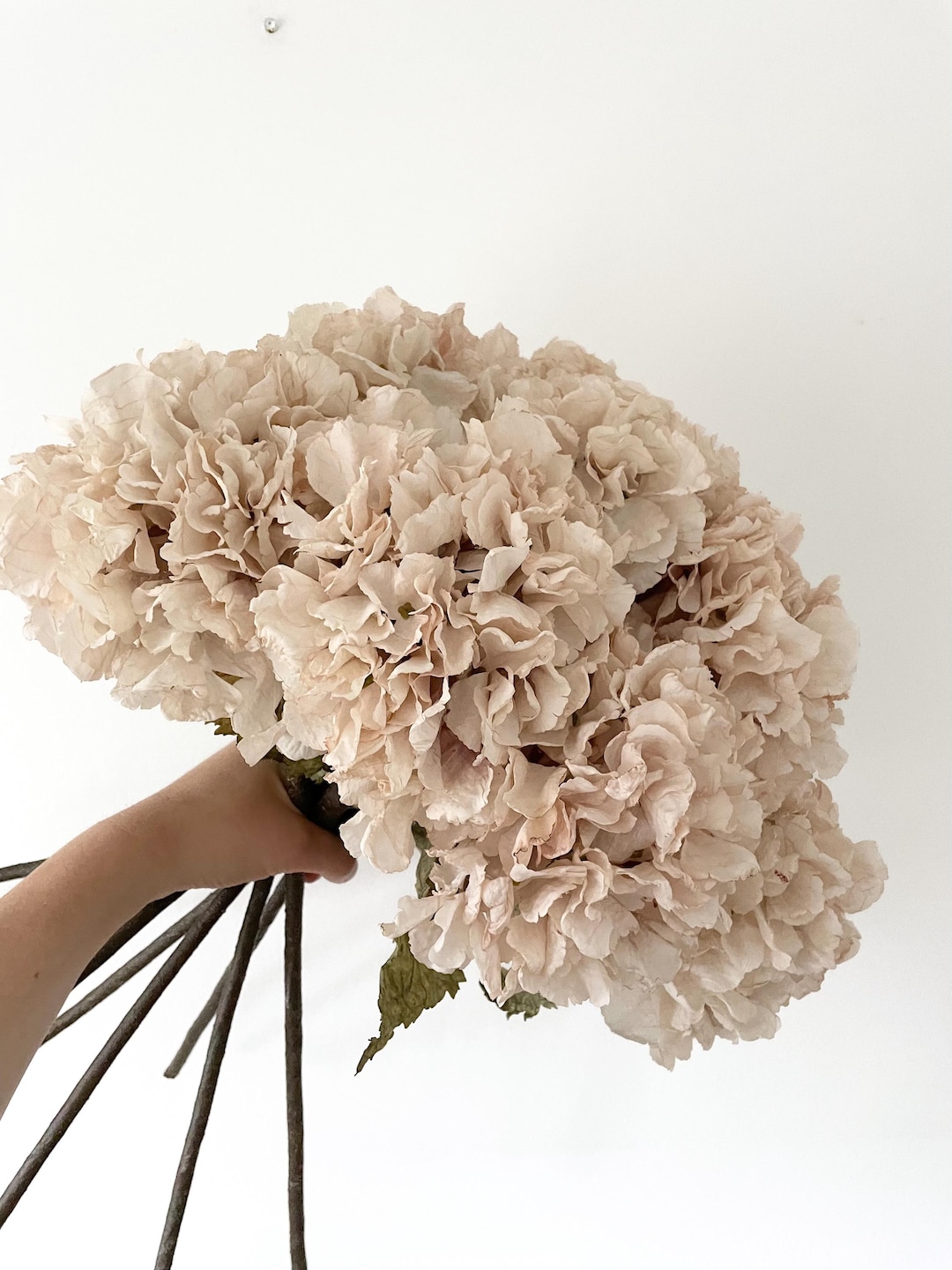 Cream Artificial Hydrangea Single Stem – Realistic Faux Dried Flower ...