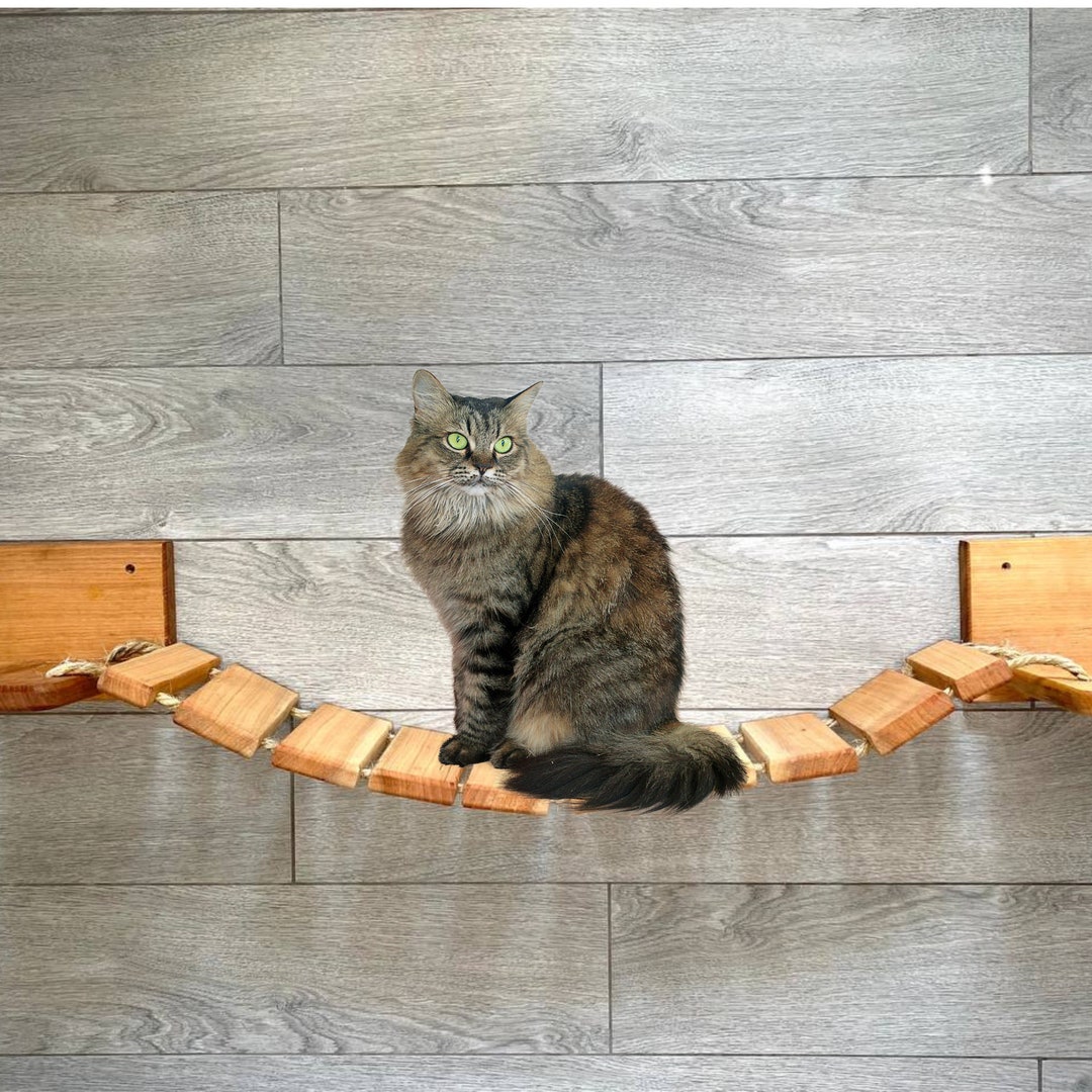 Set for Cats Cat Playground Natural Wooden Cat Climb Wall - Etsy