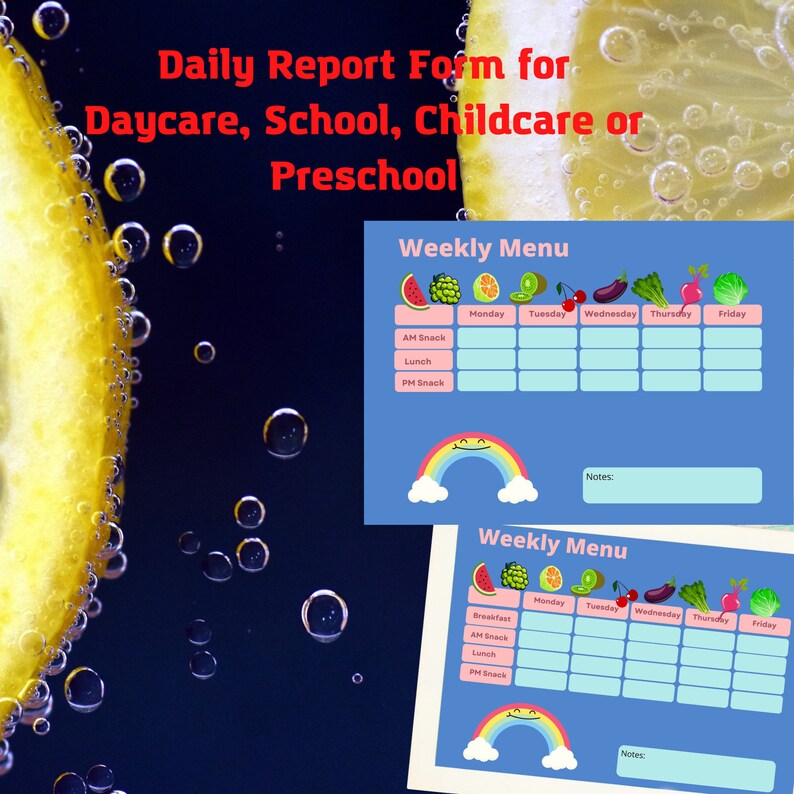 Daily Report Form for Daycare School Childcare or Preschool - Etsy