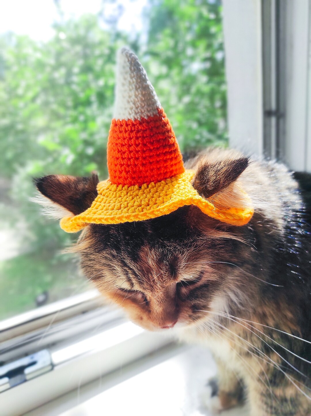 Crochet Candy Corn Cat Hat - Halloween Pet Costume - Etsy