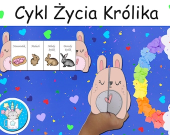 Life Cycle of a Rabbit | All About Rabbits Science Unit | Foldable Kids ...