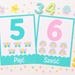Liczby 1-10 Po Polsku | Polish Numbers Flashcards for Kids | Nauka ...