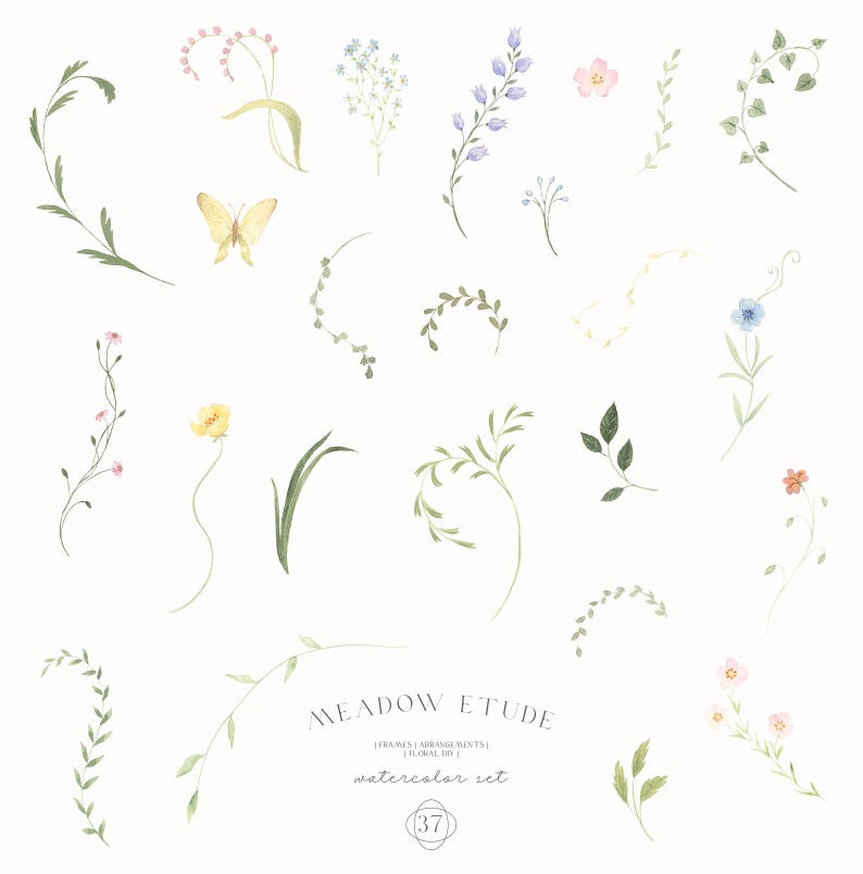Wildflower Watercolor Clipart Meadow Etude - Preppy Pastel Floral ...