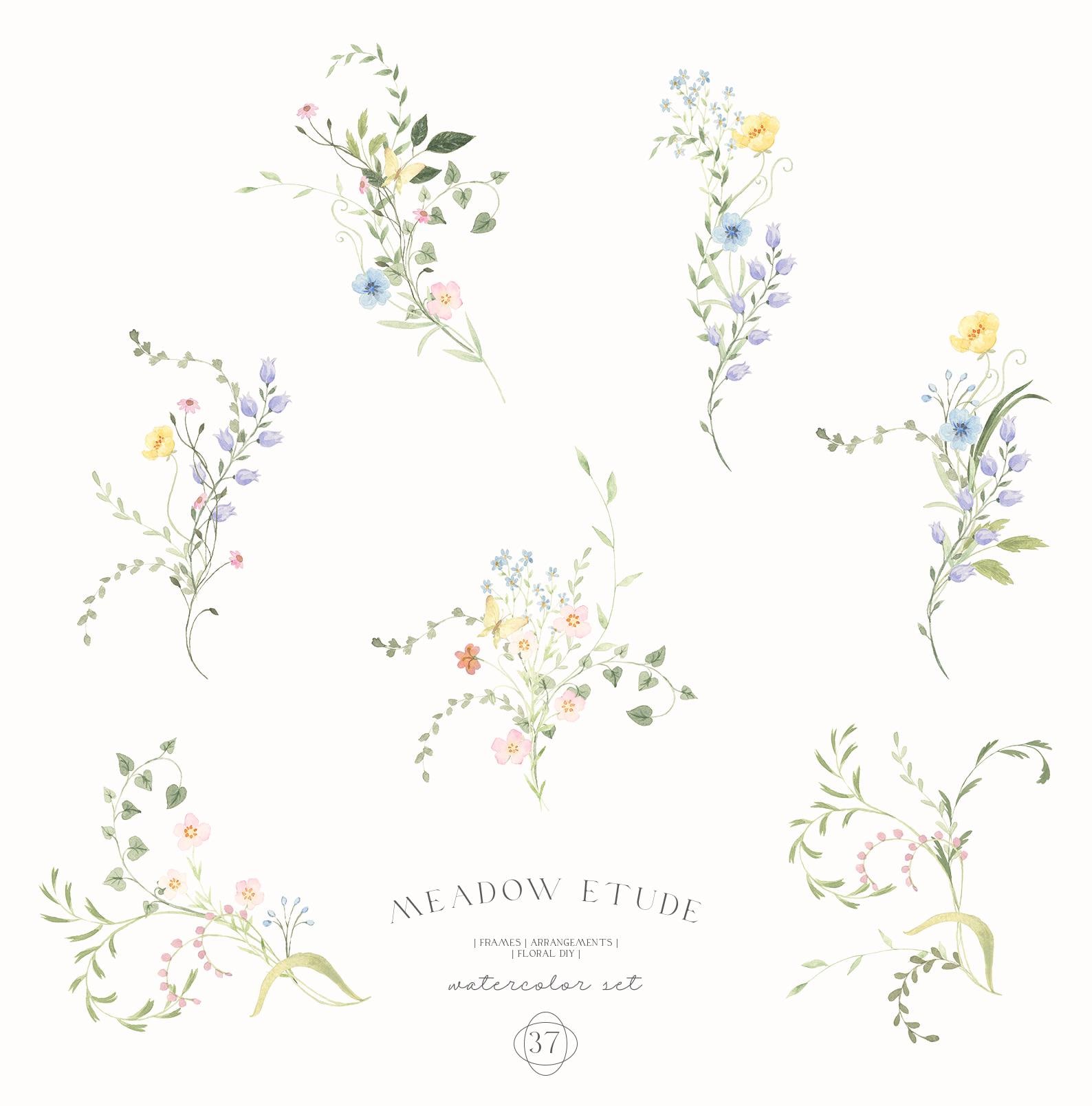 Wildflower Watercolor Clipart Meadow Etude - Preppy Pastel Floral ...