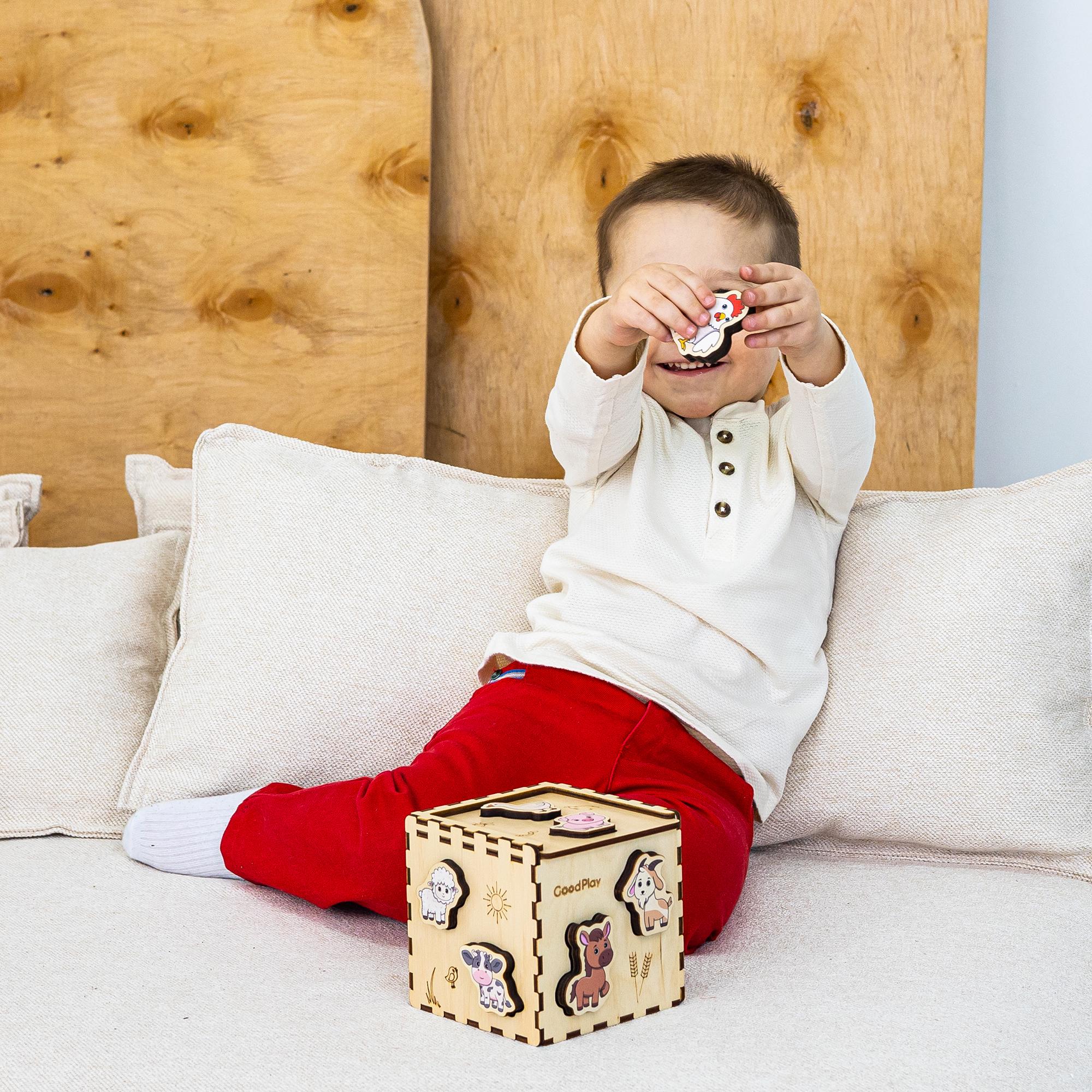 Wooden Farm Animal Sorting Cube: Montessori Toddler Toy, Shape Sorter ...
