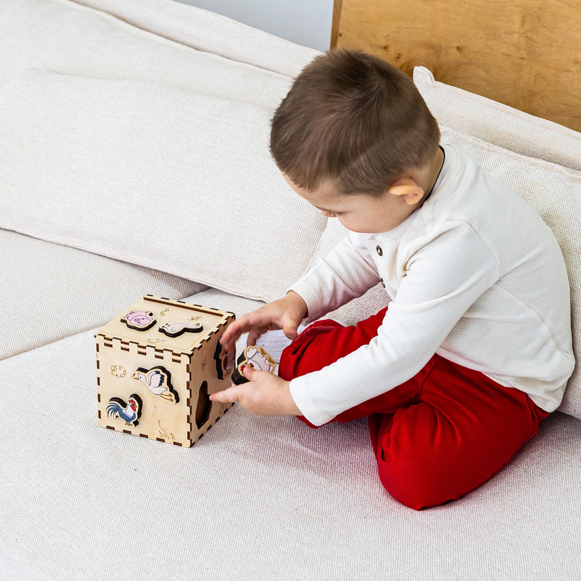 Wooden Farm Animal Sorting Cube: Montessori Toddler Toy, Shape Sorter ...