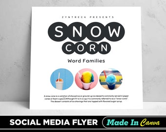 Snow Cone Flyer - Etsy