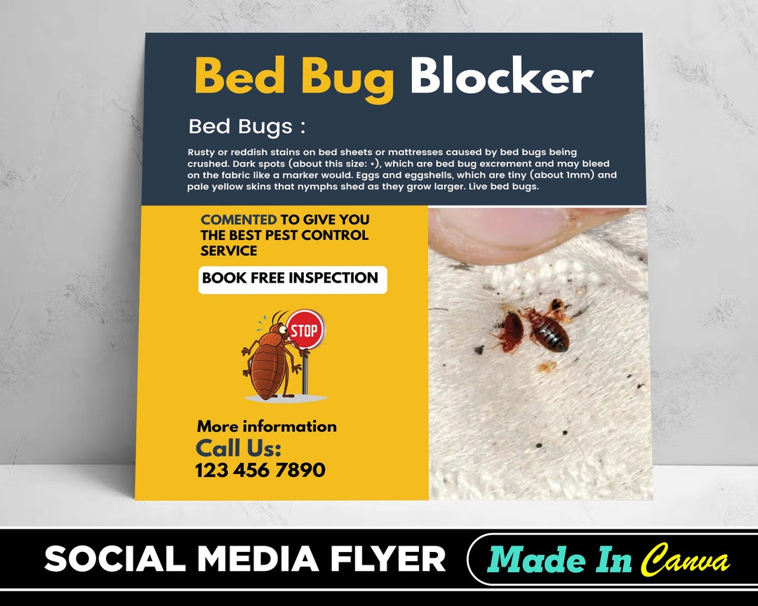 Bed Bug Flyer, DIY Canva Bed Bug Flyer Template 2022, Editable Social ...
