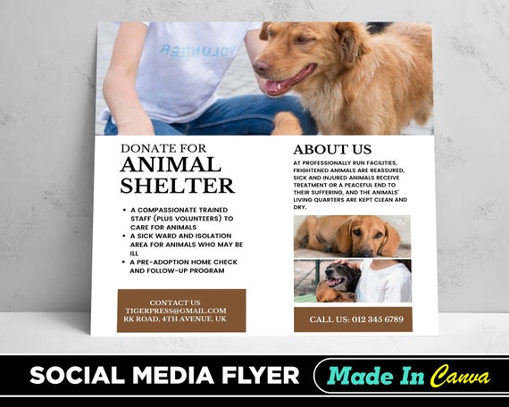 Animal Shelter Flyer DIY Canva Animal Shelter Flyer Template - Etsy
