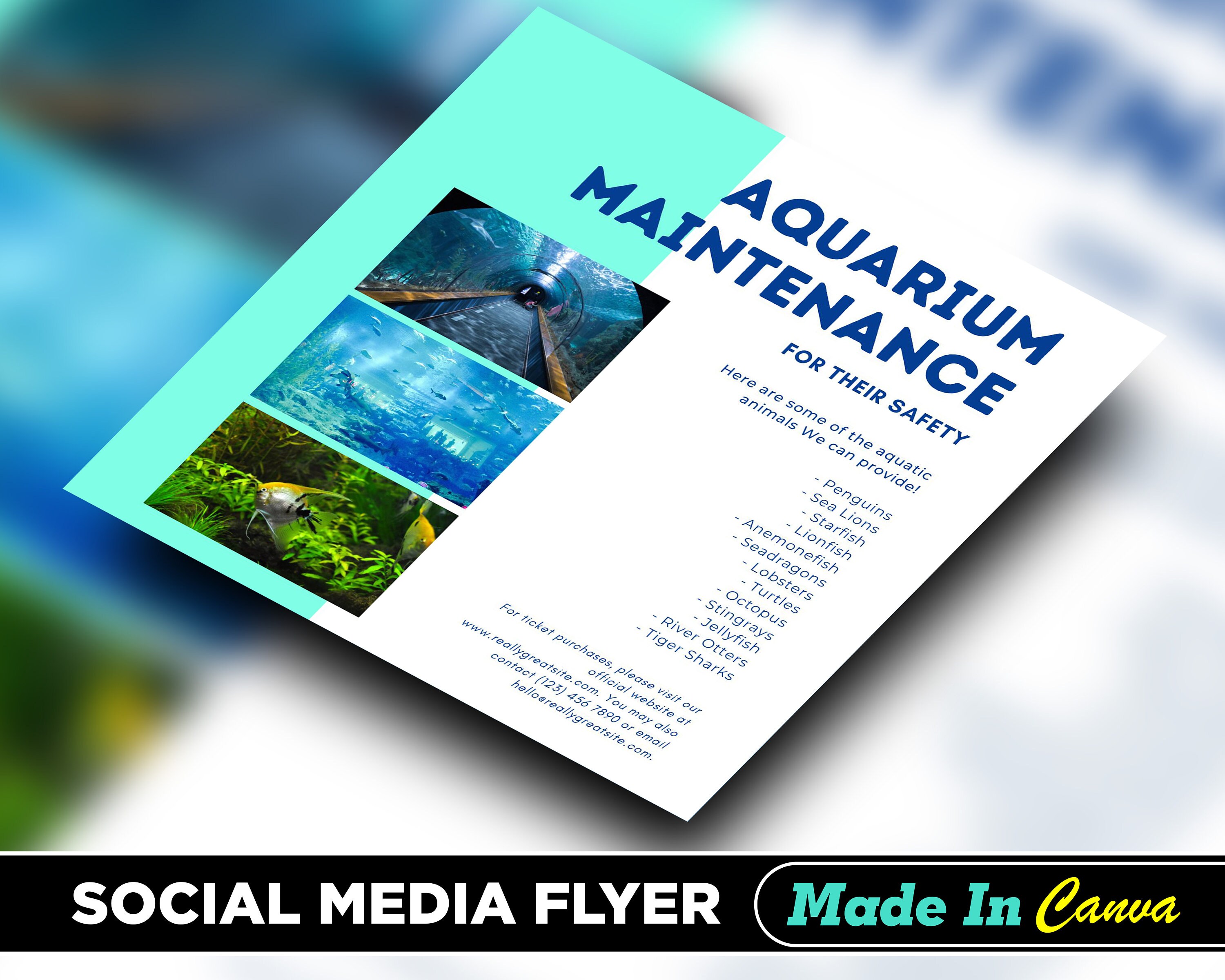 Aquarium Maintenance Flyer, DIY Canva Aquarium Maintenance Flyer ...