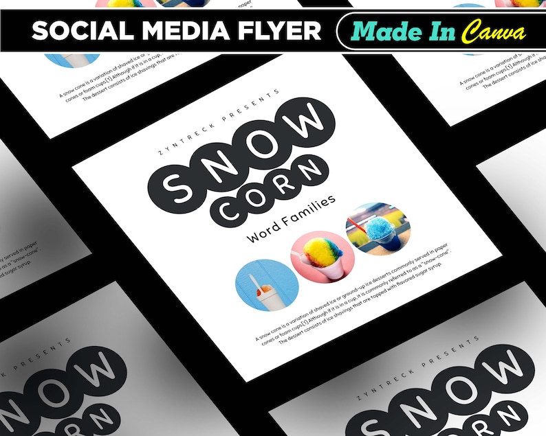 Snow Cone Flyer DIY Canva Snow Cone Flyer Template Editable - Etsy