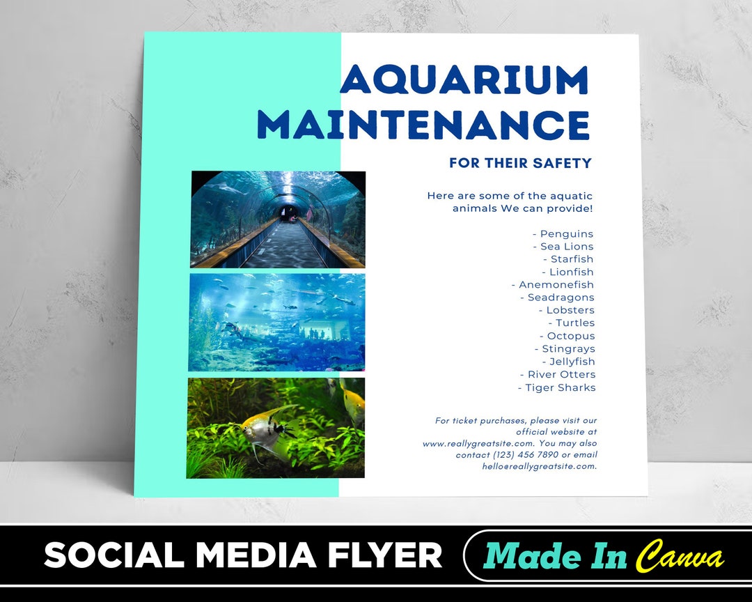 Aquarium Maintenance Flyer, DIY Canva Aquarium Maintenance Flyer ...