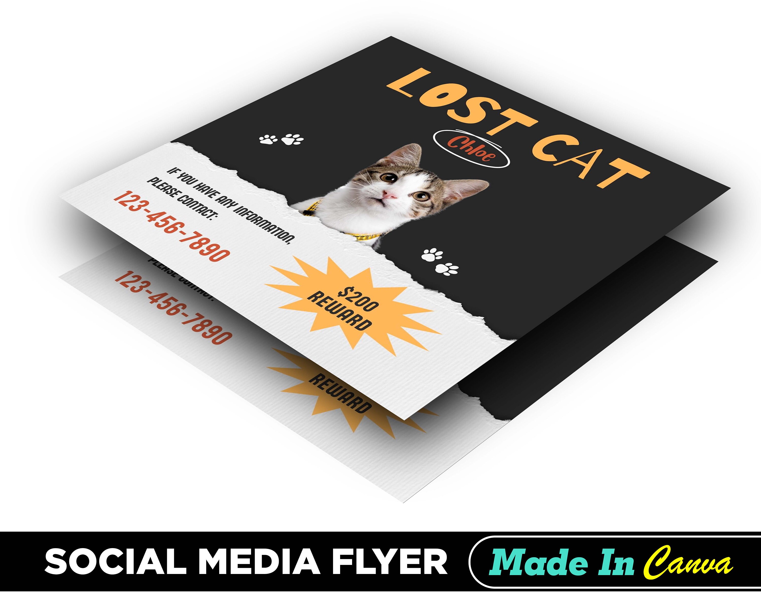 Missing Cat Flyer DIY Canva Missing Cat Flyer Template 2022 - Etsy