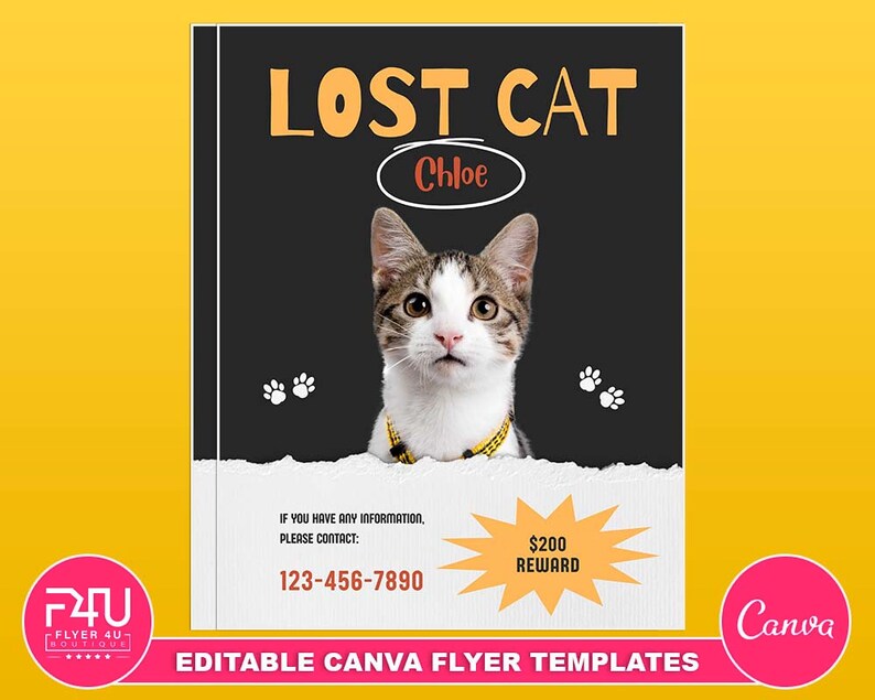 Missing Cat Flyer, DIY Canva Missing Cat Templates, Editable Canva US ...